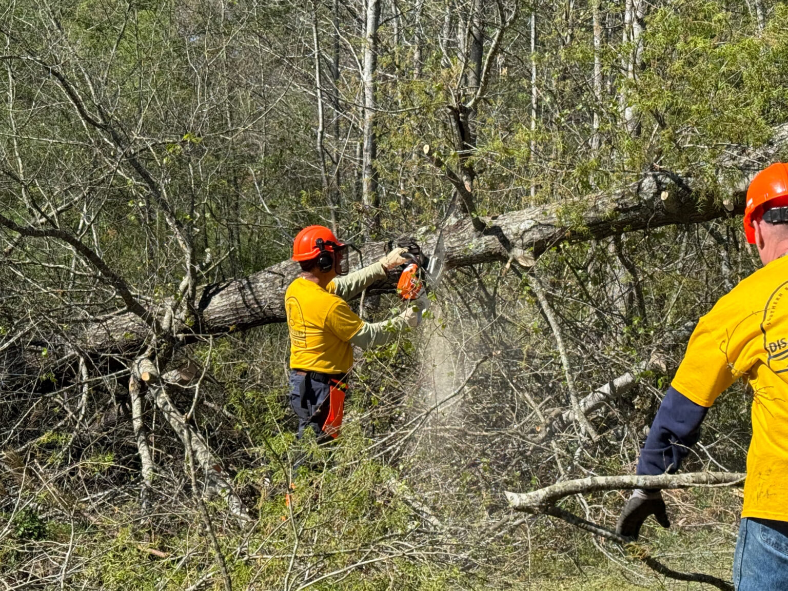 Home - SBDR - Alabama Baptist Disaster Relief